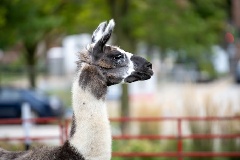 Gemma 4 vs Llama 4 2026: Complete Open Model Comparison | BytePulse